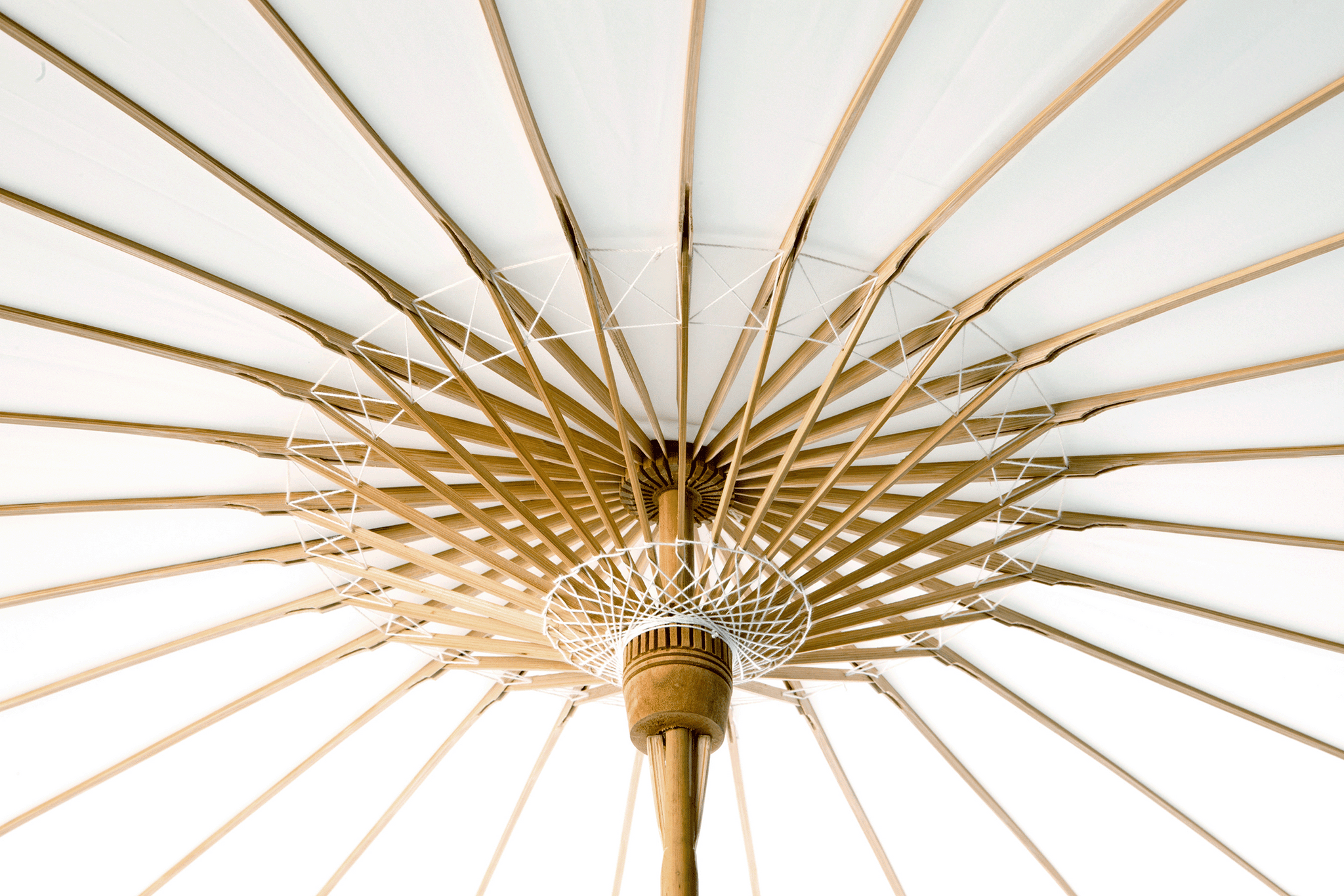 Lily-Lark | OLIVE RIBBONS print UV sun parasol, handmade, UPF 50+